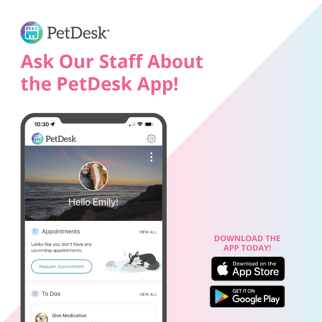 Download App | Jackson Veterinary Hospital Pet Portal